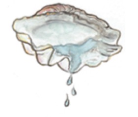 Home | Jesus the Christ Ministry